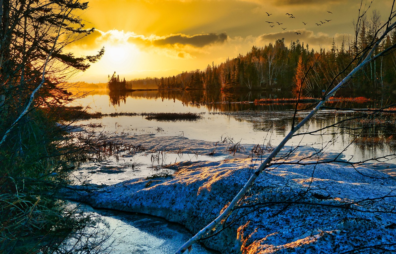 Les quatre saisons au Québec - Mon Caribou